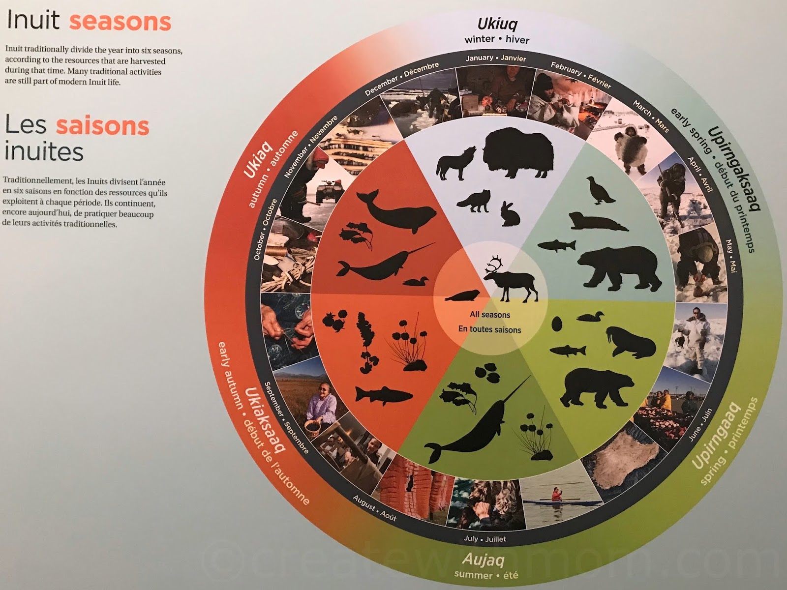 Create With Mom: Canadian Museum of Nature