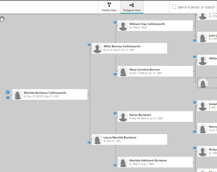 The Ultimate Family Historians: Using DNA Painter to reconstruct ...
