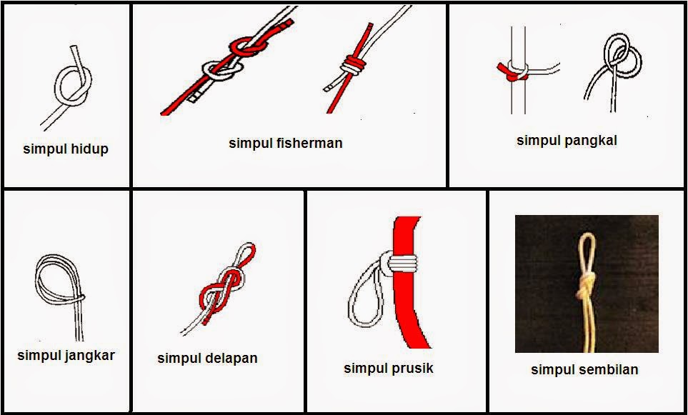 Climbing | Stembayo Hiking Club Yogyakarta official page