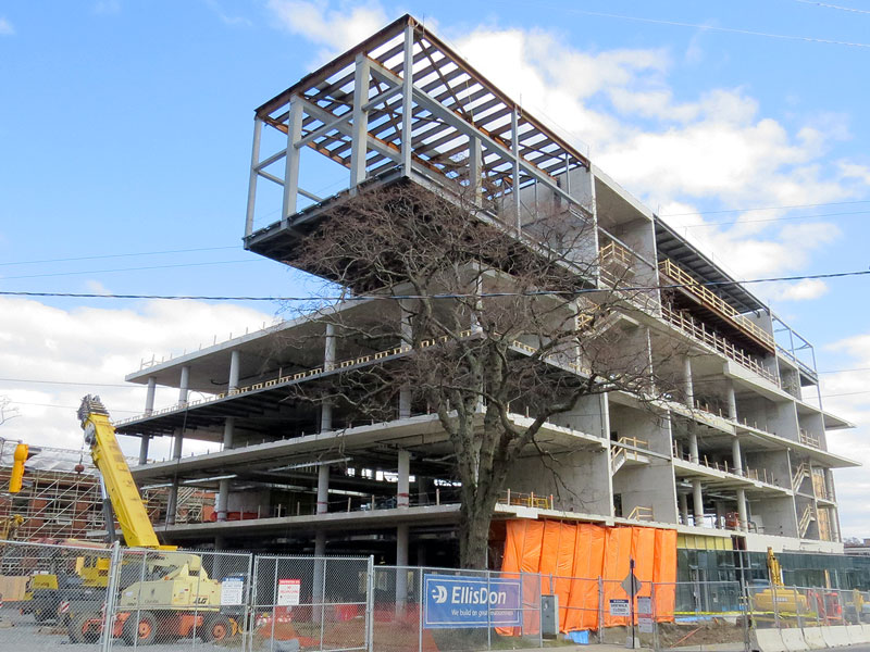 High Rise Stories – haligonia.ca