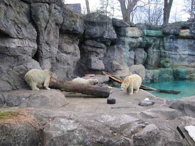 My Polar Bear Friends and Friends of Polar Bears: The Three Bears of ...