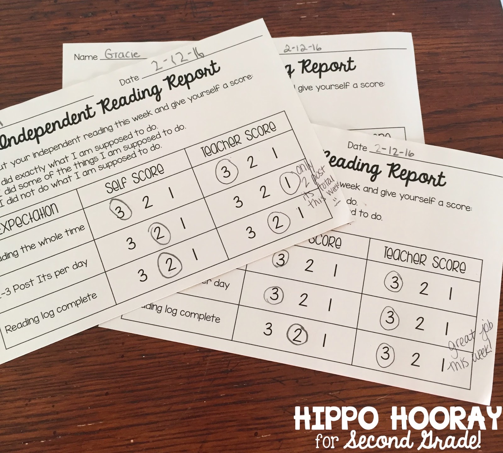 Student Accountability During Independent Reading - Hippo Hooray for ...