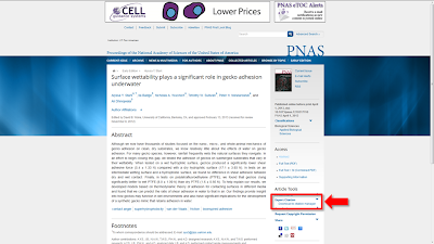 NeuroDojo: A field guide to exporting citations