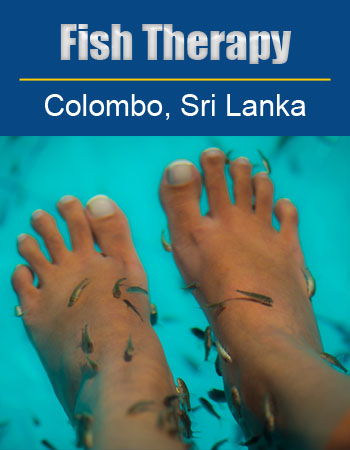 Sri Lanka Massage Centers, Spa in Colombo, spa near me, Lanka Ads: Fish ...