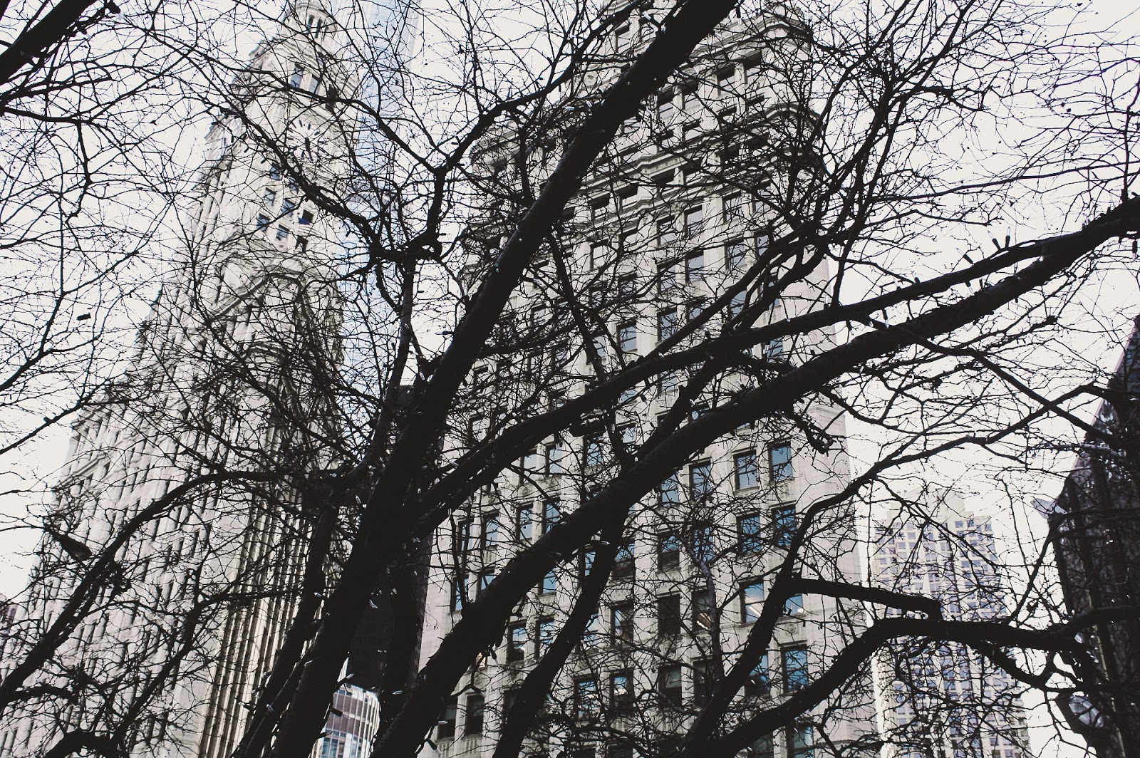 Winter Sunsets in Chicago | Colby Kern Blog