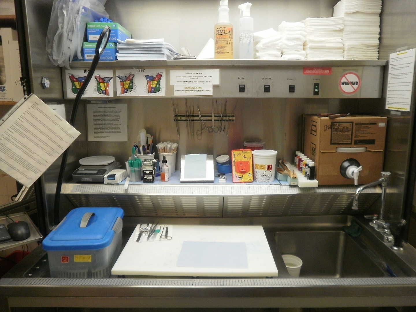 The Making of a Pathologists' Assistant: A Trip to the Pathology ...