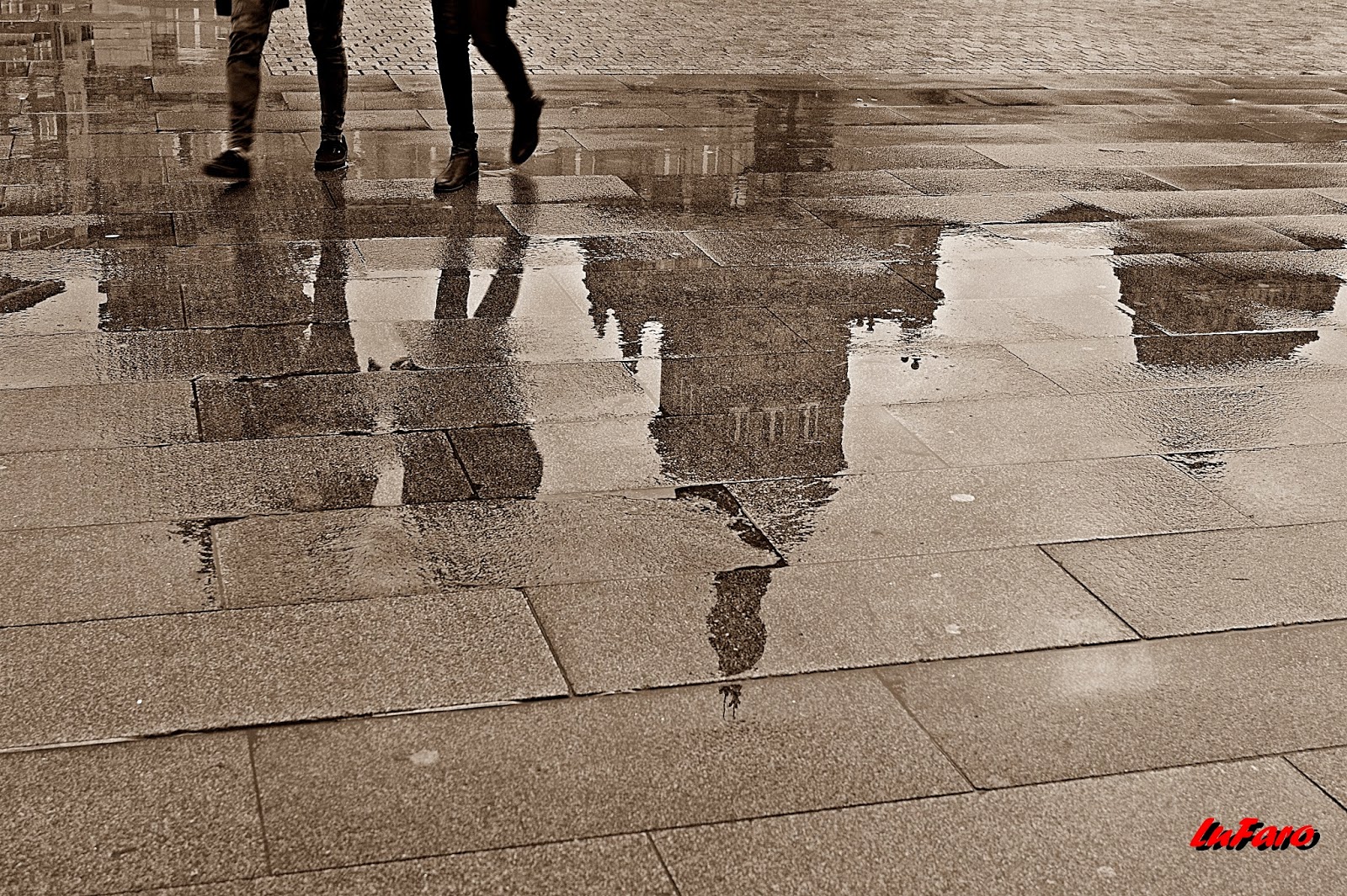 CAPTANDO INSTANTES: Sobre suelo mojado