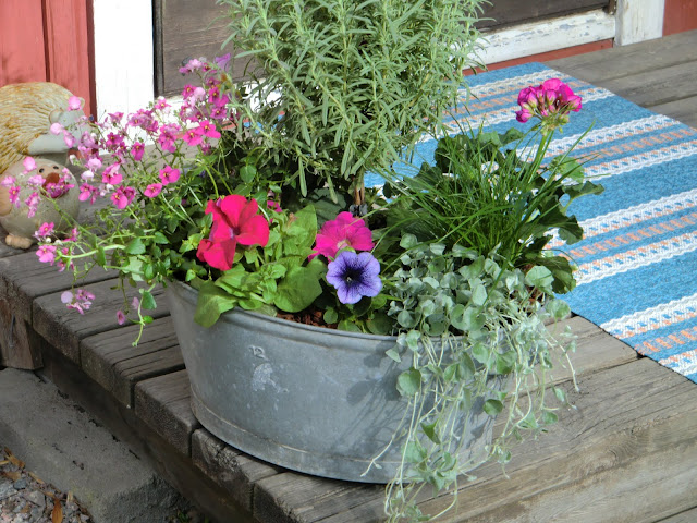 Kjerstis mat och prat: Blomsterkurs IV - Plantering i balkonglåda/urna