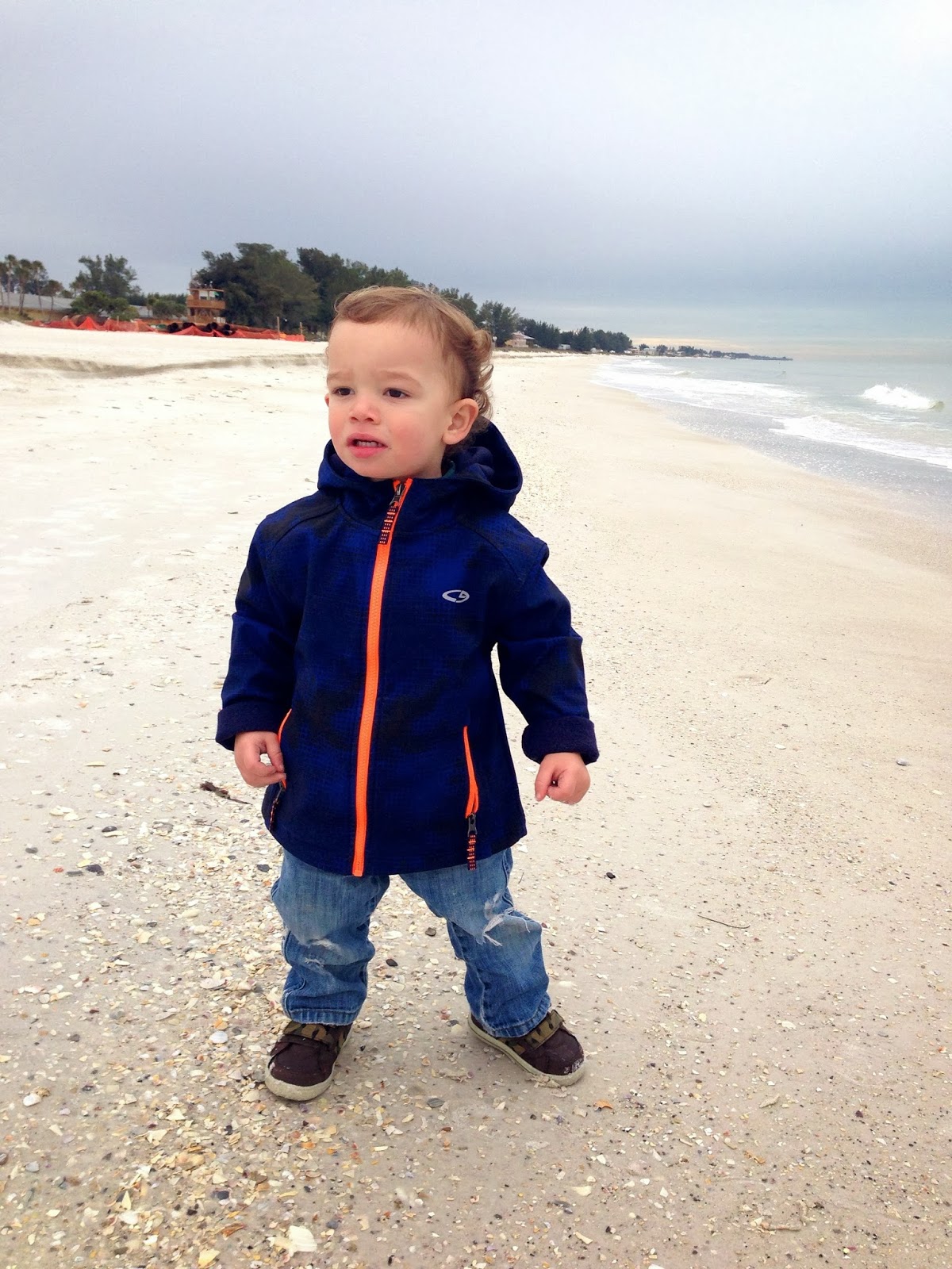 polar vortex in Florida polar vortex in Florida - Beth Kaplan