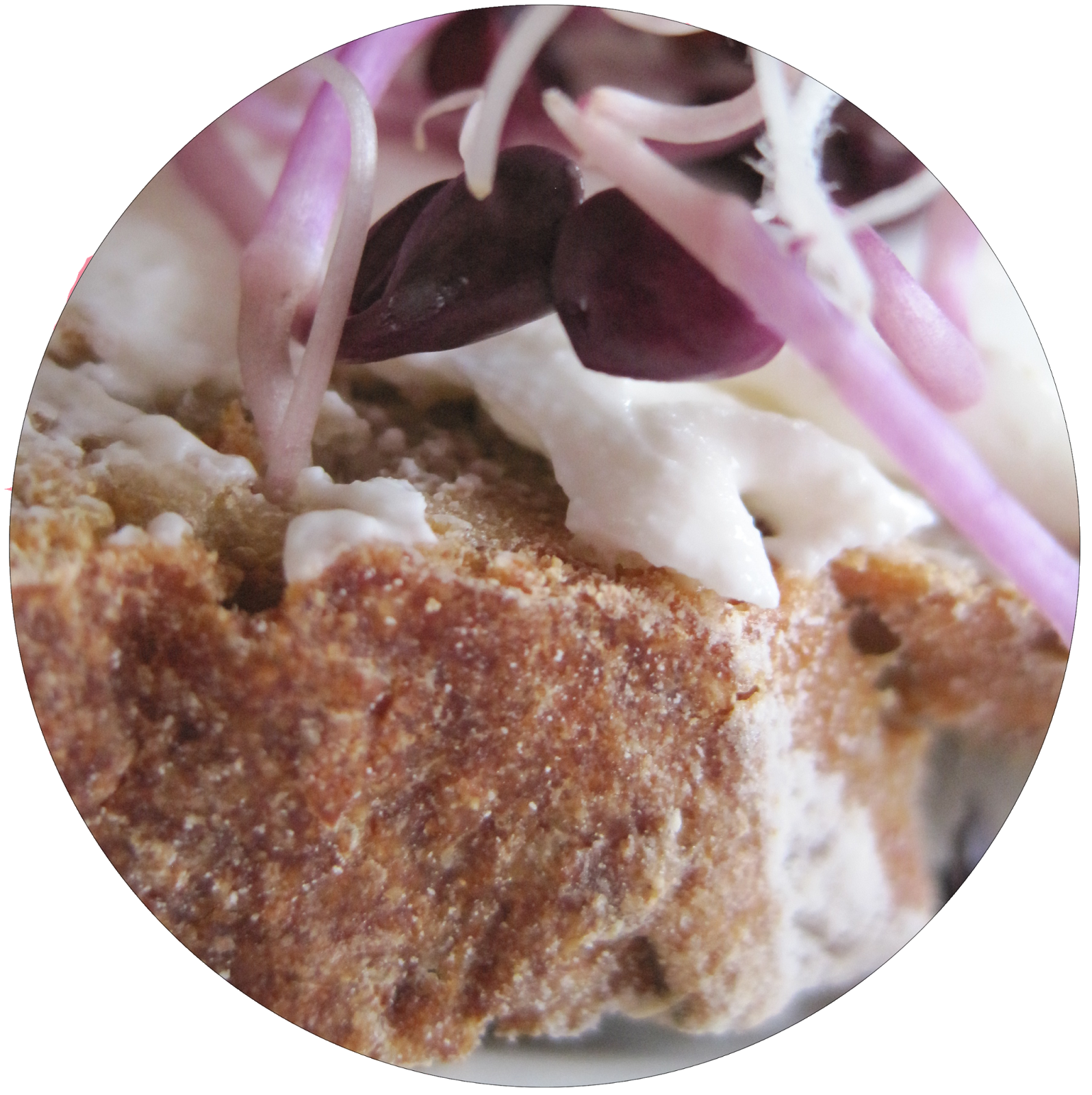 From the Clerics' Cottage: Guinnesskruste