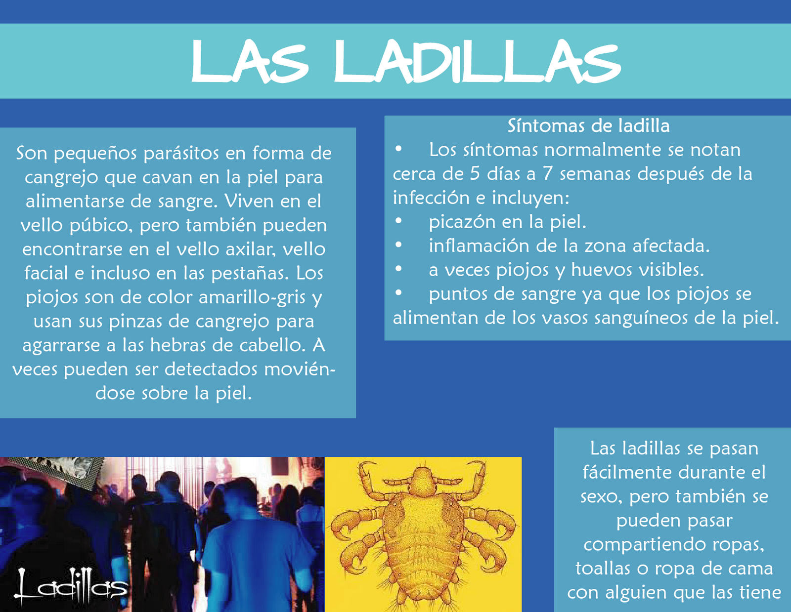 Bysso: LADILLAS!!