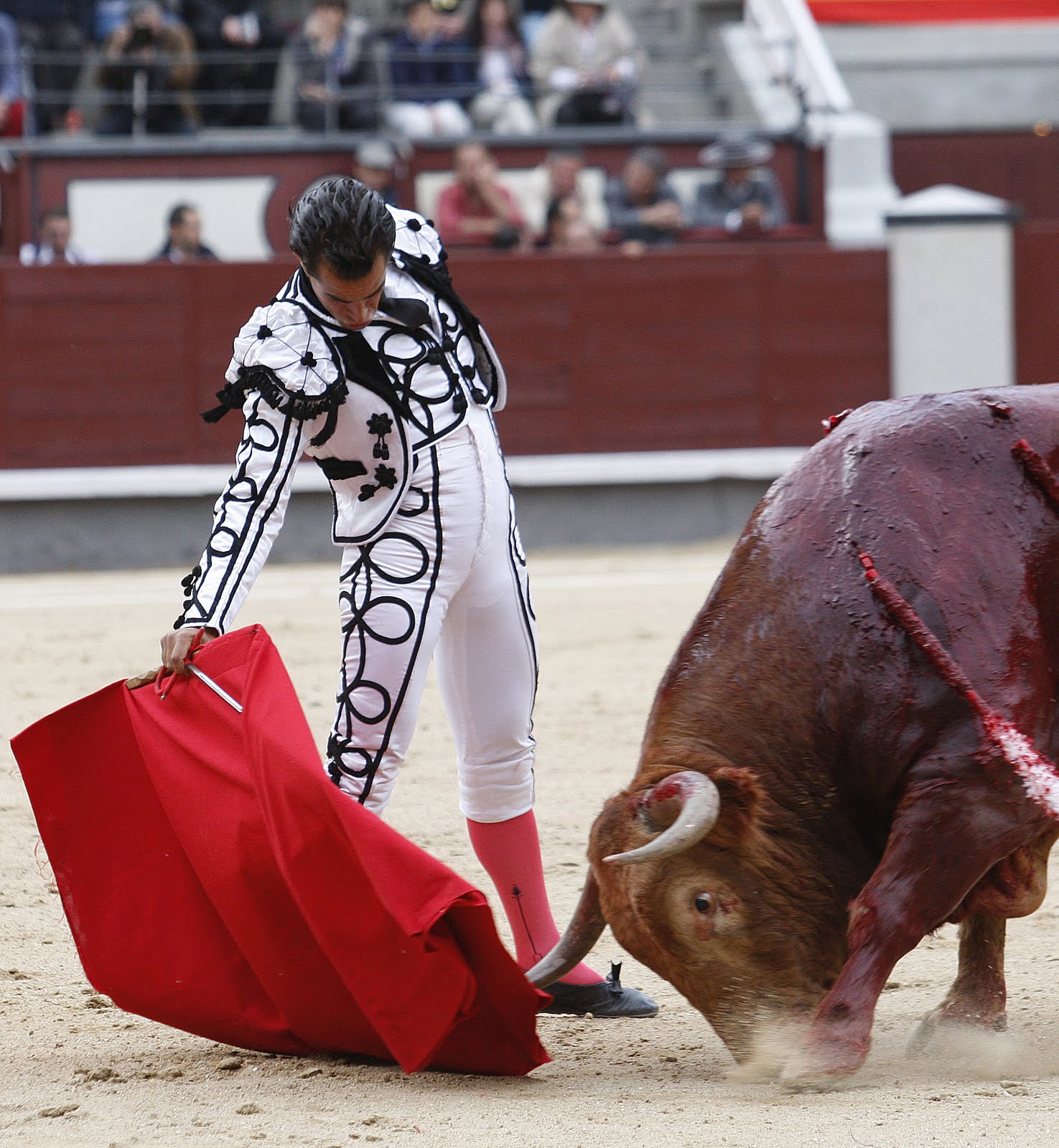 VUELTA AL RUEDO: LV FERIA DE CALI 2011-2012 / QUINTA CORRIDA: A pesar ...