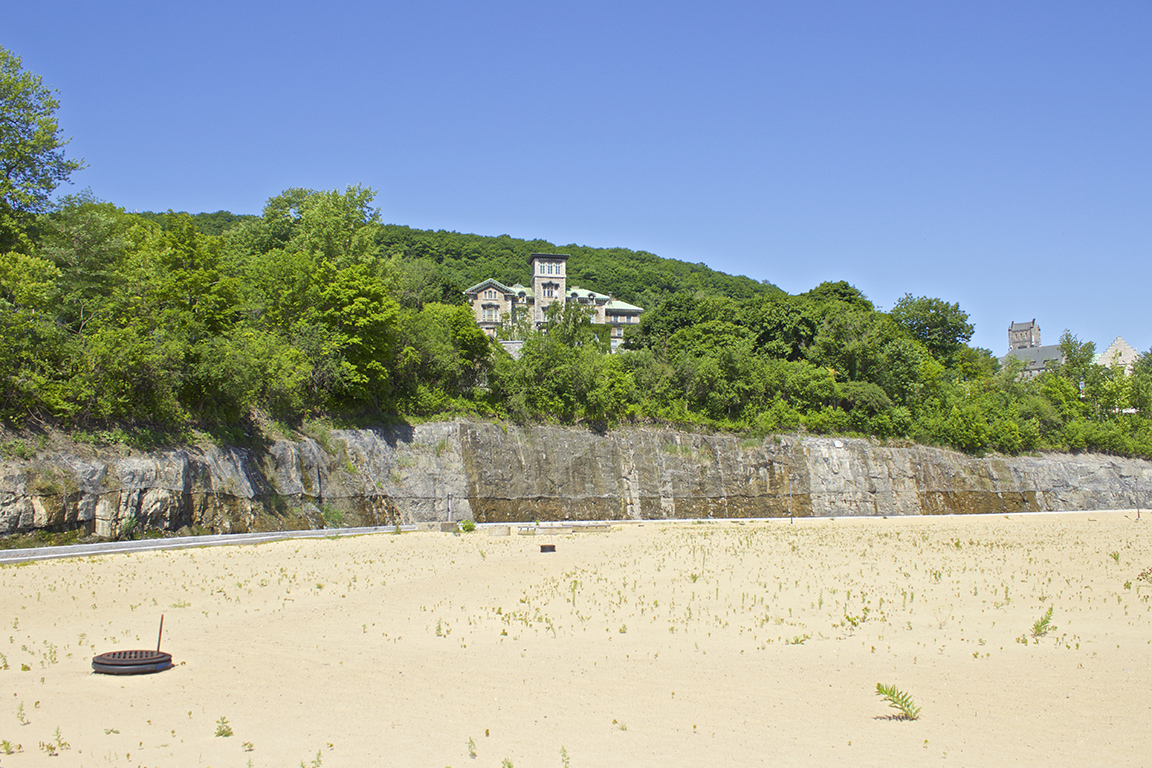 Flora Urbana: Psammophytes