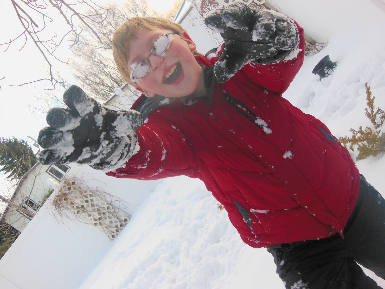 Main Musings: Toothless Grin