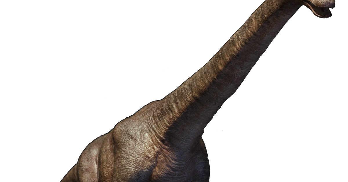 Mi blog: Adamantisaurus: El saurópodo sudamericano de tamaño mediano