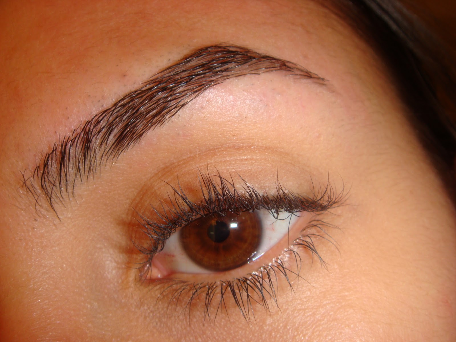 Nina Mademoiselle: How-To : Brows