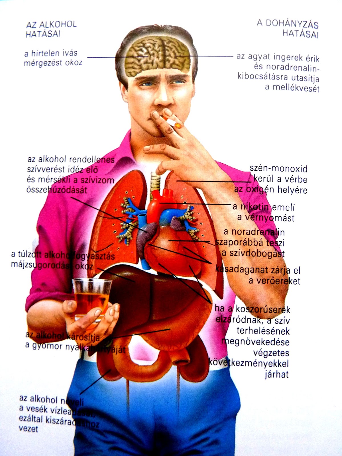 Csillag Ősforrás * Életút és Életmód vezetés * Horoszkópelemzés, a ...