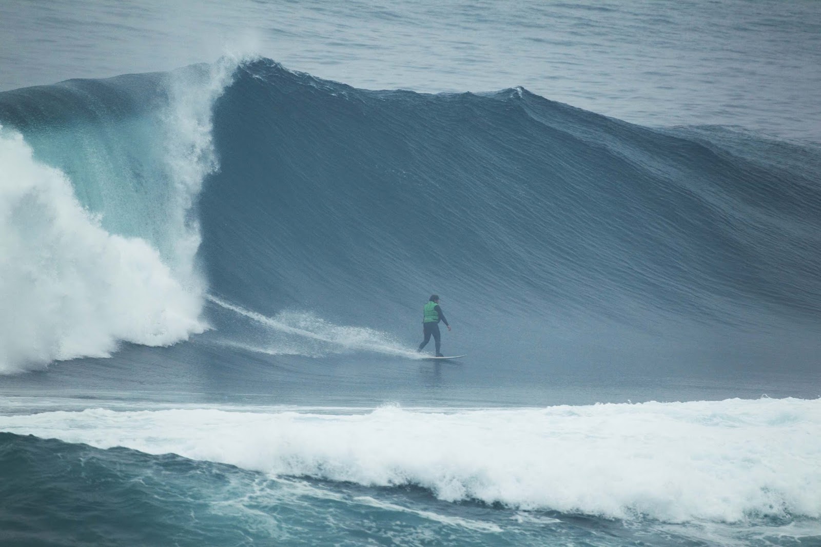 kukurustan: 1.321 Koala haundi bat. Un gran Koala. A great Koala.