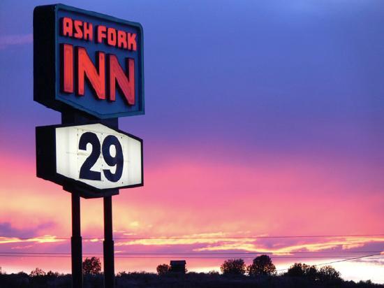 Coast to Coast Gorilesco: GORILAS ON THE 66 (VOL. II)