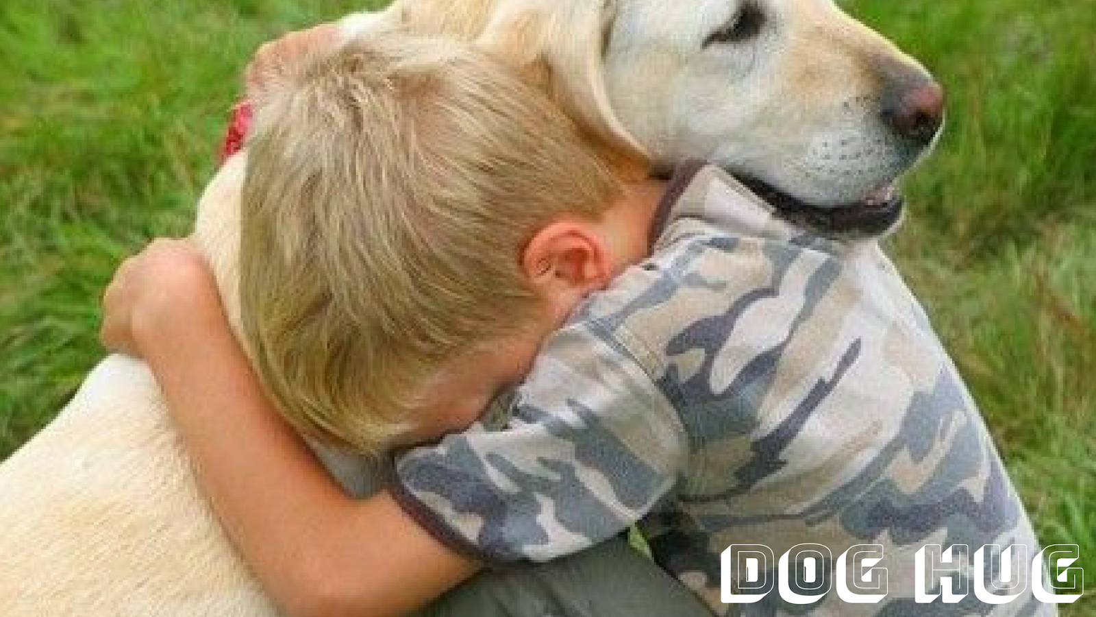 How to Teach Your Dog to Give Hug | Dog Training | by Pets Planet ...