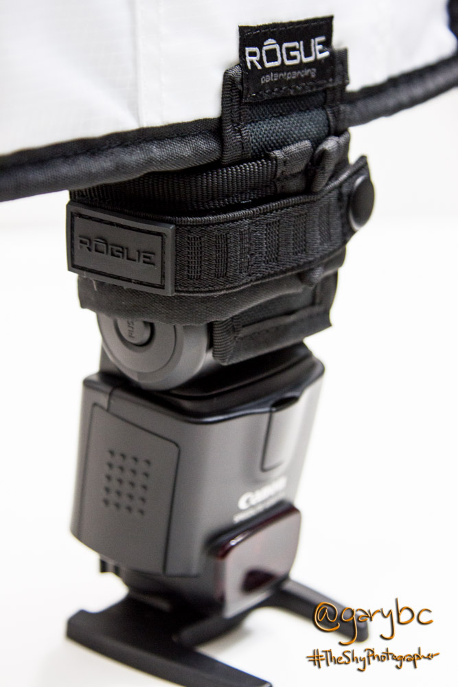 The Shy Photographer: The Rogue FlashBender-Large and Diffuser by ...