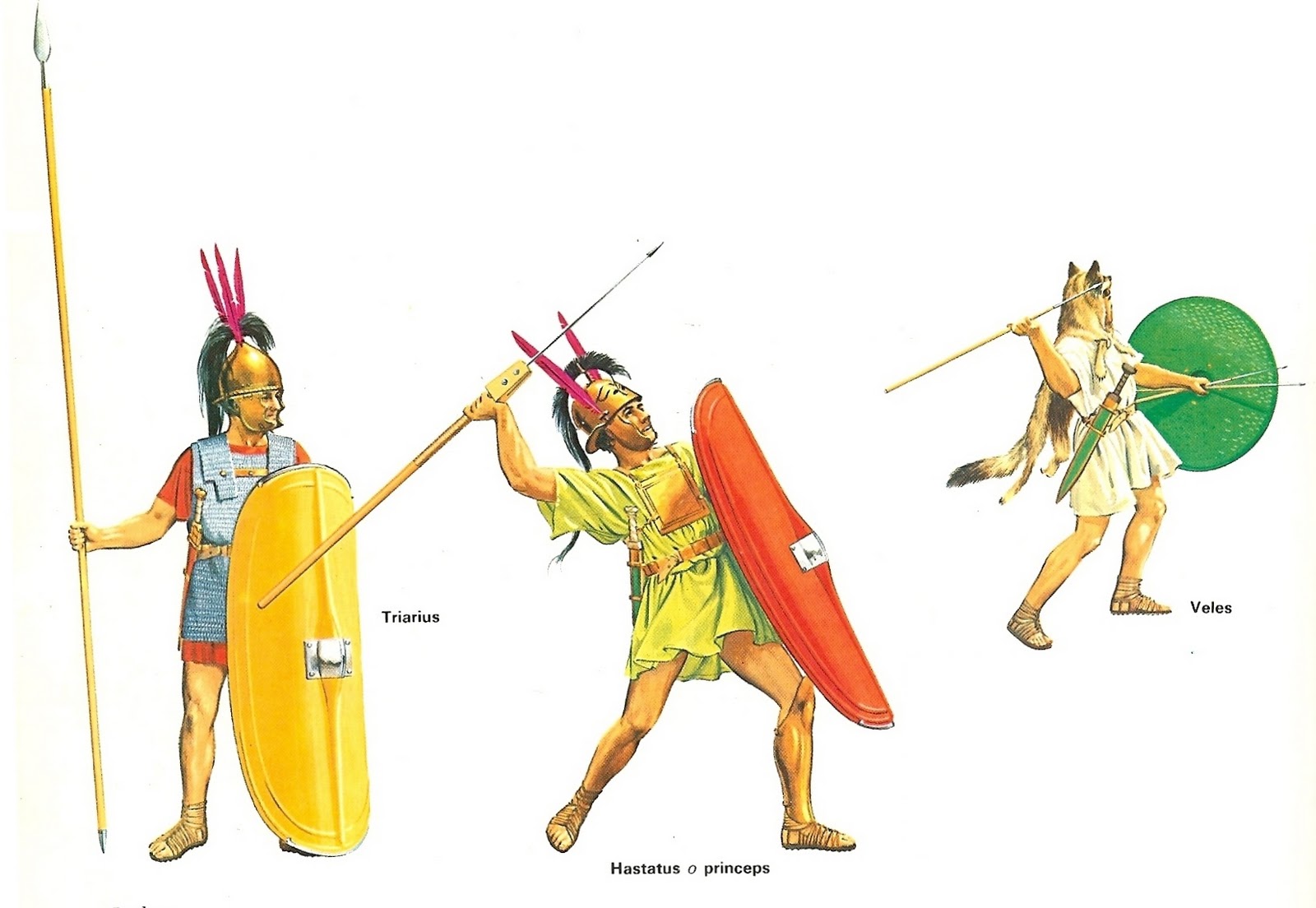 Triarii Hastati - JungleKey.fr Image