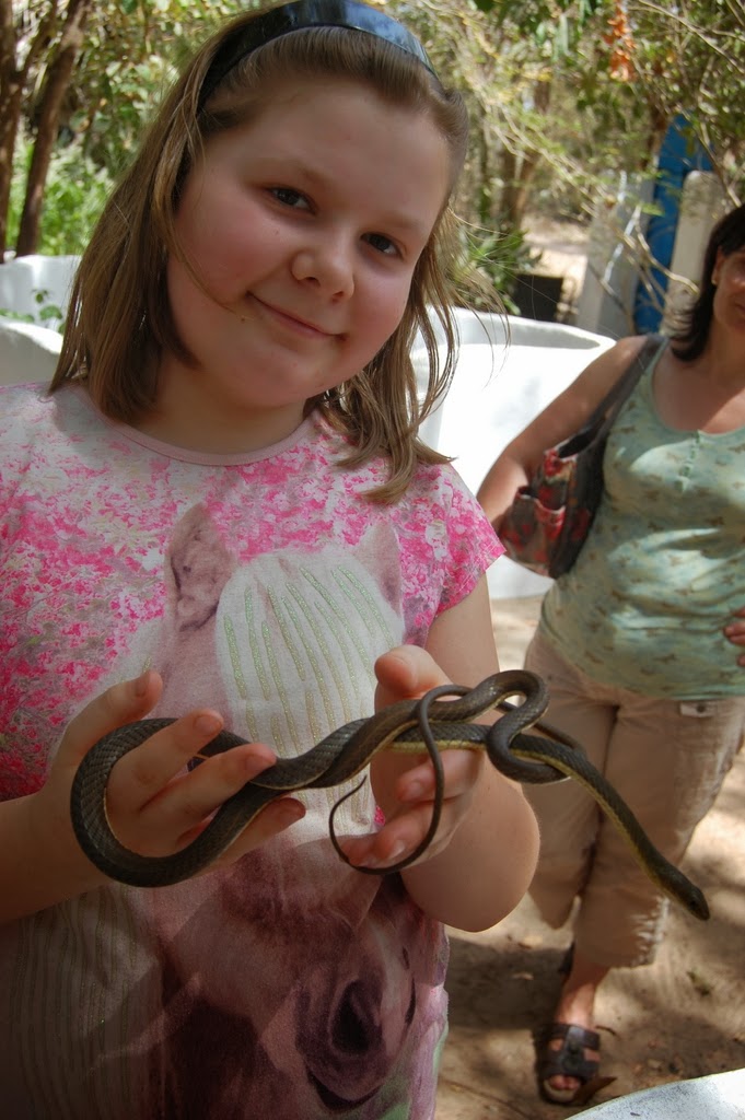 The Farnworths in Gambia: Gambia Reptile Farm