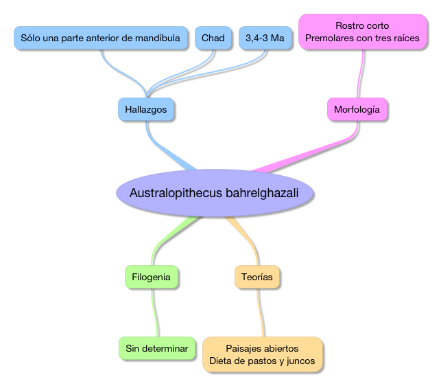 Paleoantropología hoy: Australopithecus bahrelghazali