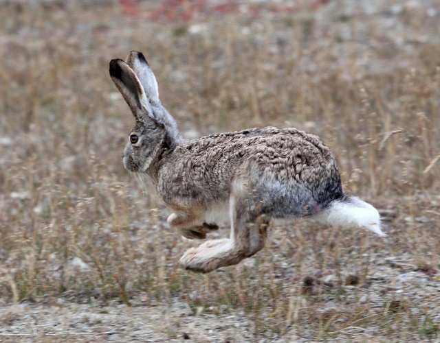 A Collection of Chain Tales: August 28. Story of the Day: Flight of the ...