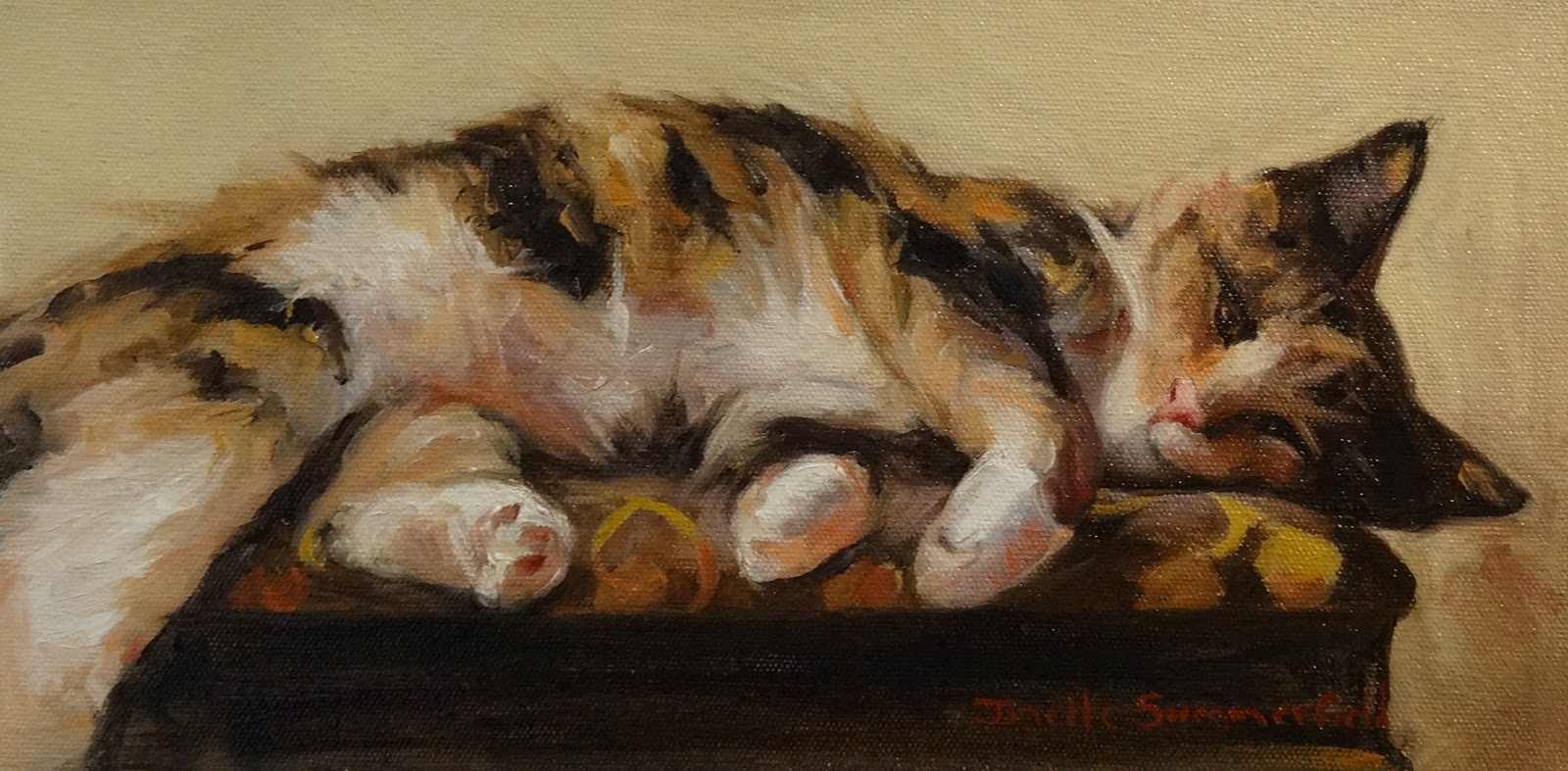 Jonelle Summerfield Oil Paintings: Reclining Kitten