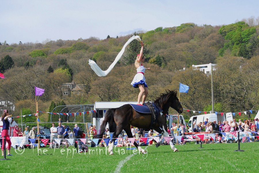 Galloping Acrobatics: Ilkley Carnival