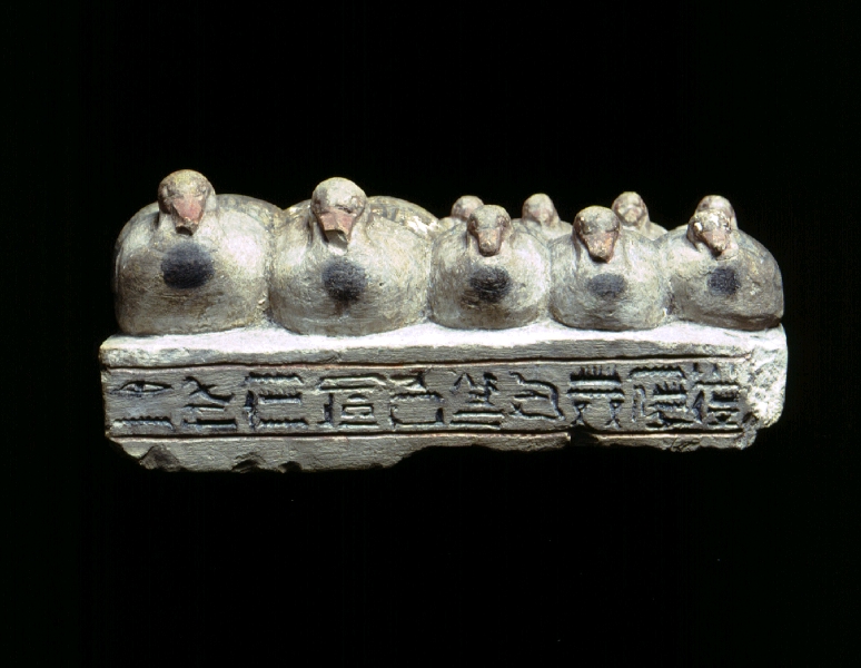 Egipto en imagenes: The sacred geese of Amun