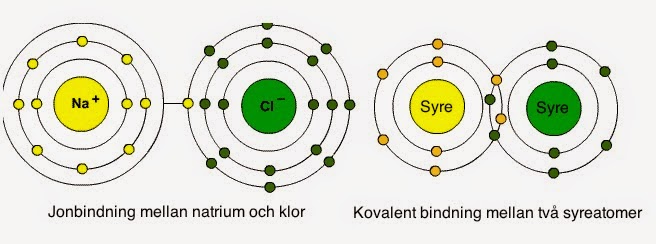 Hjärnfysik - en blogg om hjärnan och löpning: Personkemi