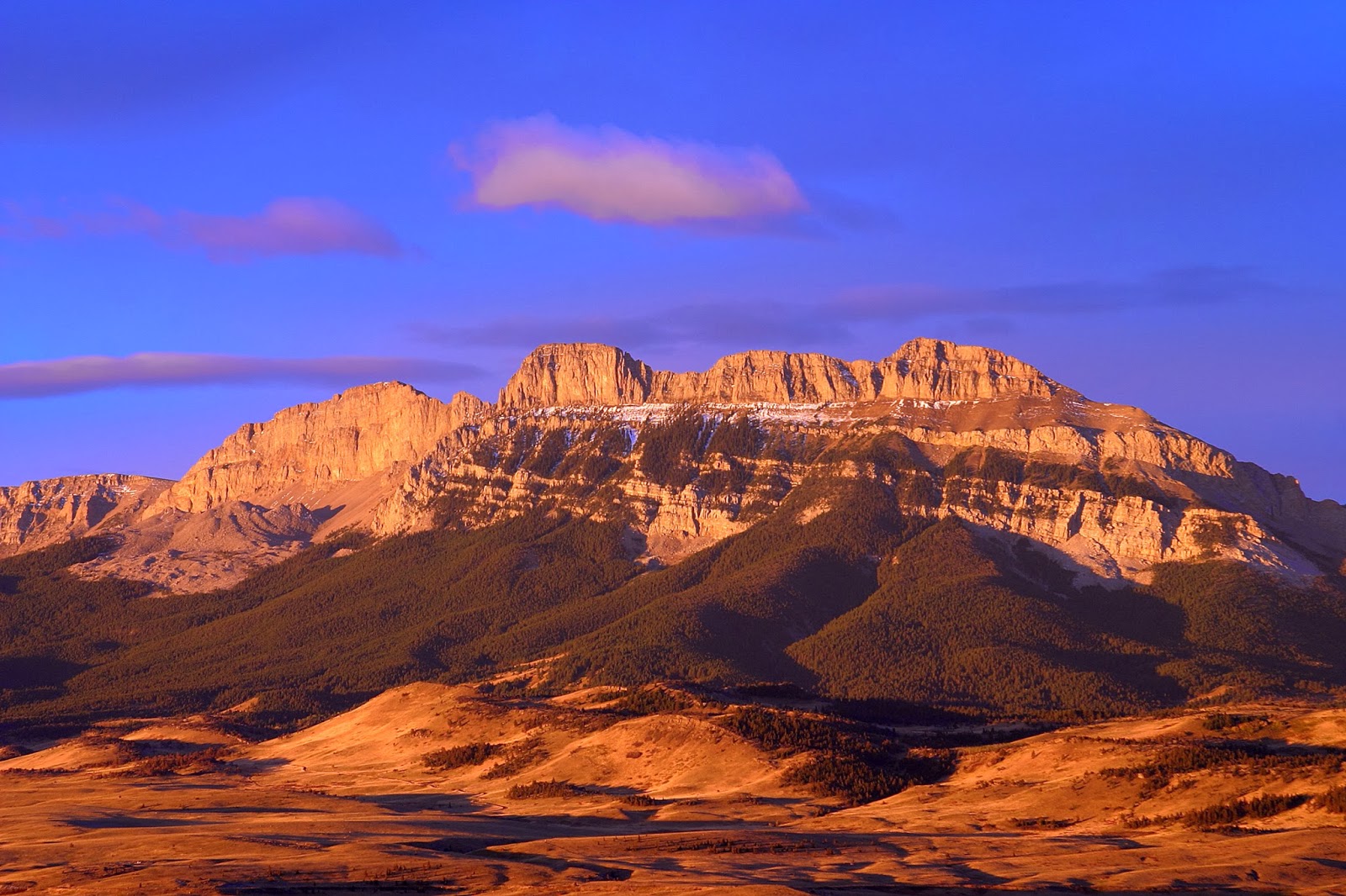 From The Wild Side: The Rocky Mountain Front Heritage Act: Moving Our ...