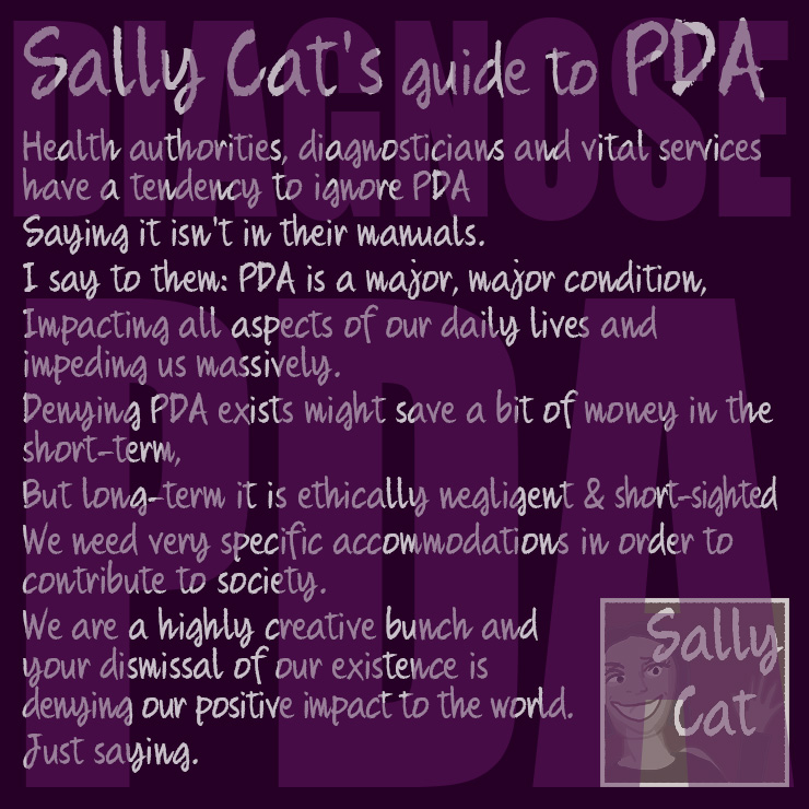 Sally Cat PDA: Memes About Diagnosis