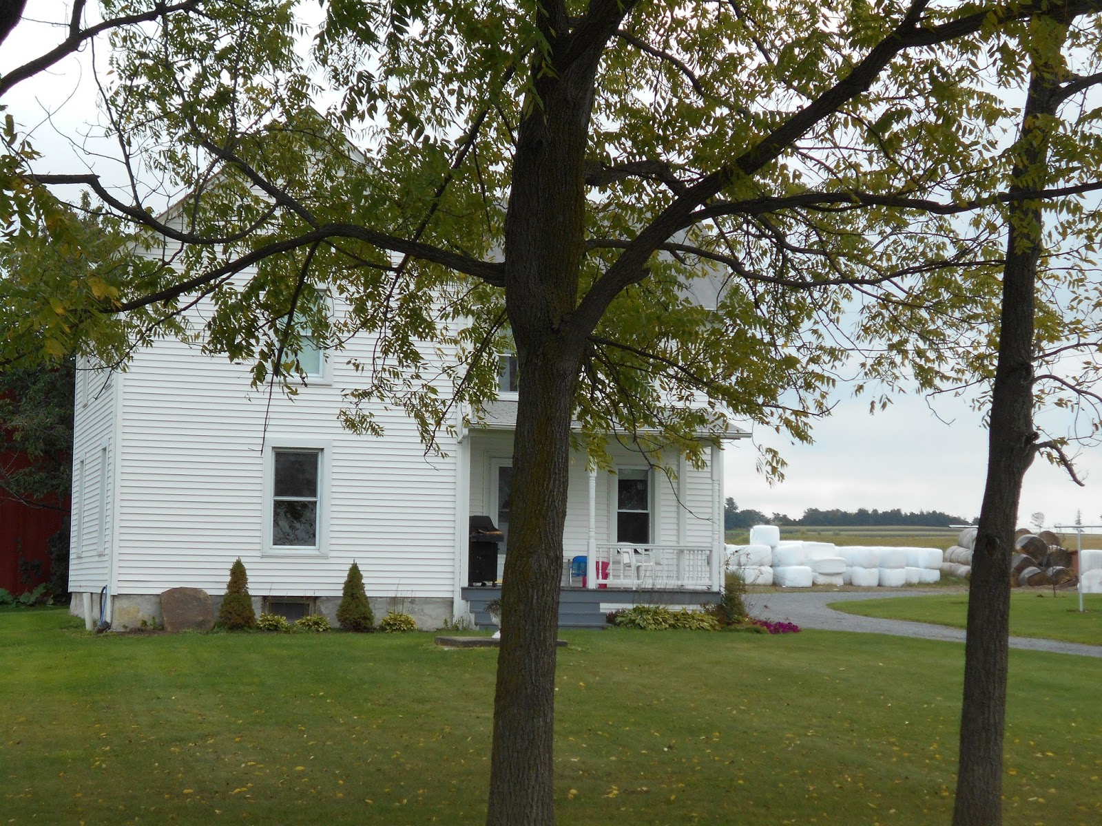 New York State of Mind: AMISH AND MENNONITE HOUSES AND A FARM