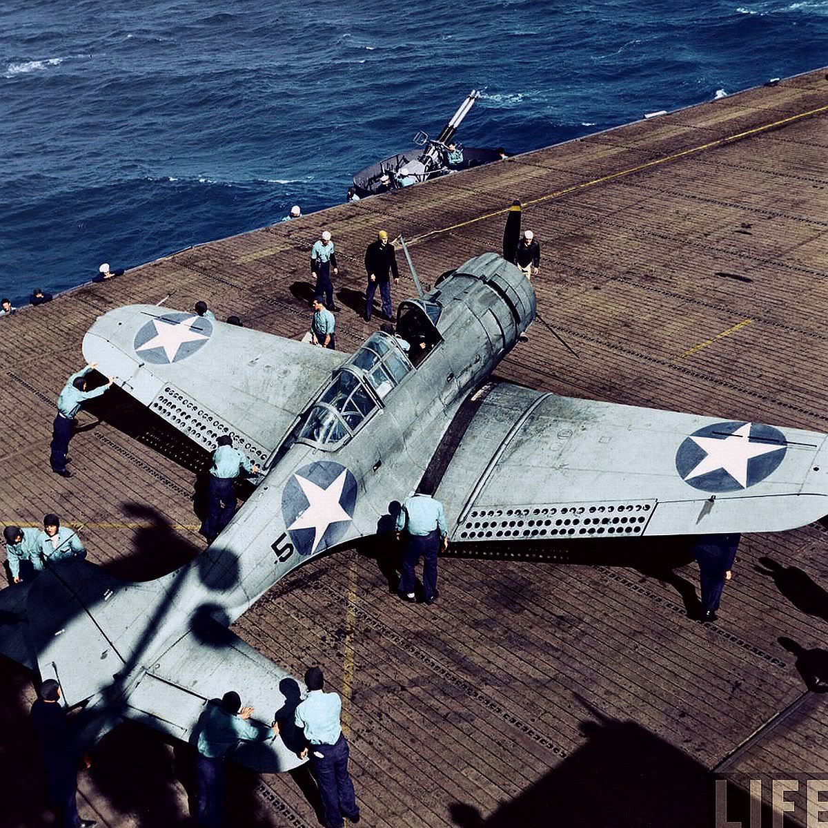 Life WWII Color SBD-Dauntless | Wwii plane, Aircraft, Wwii airplane