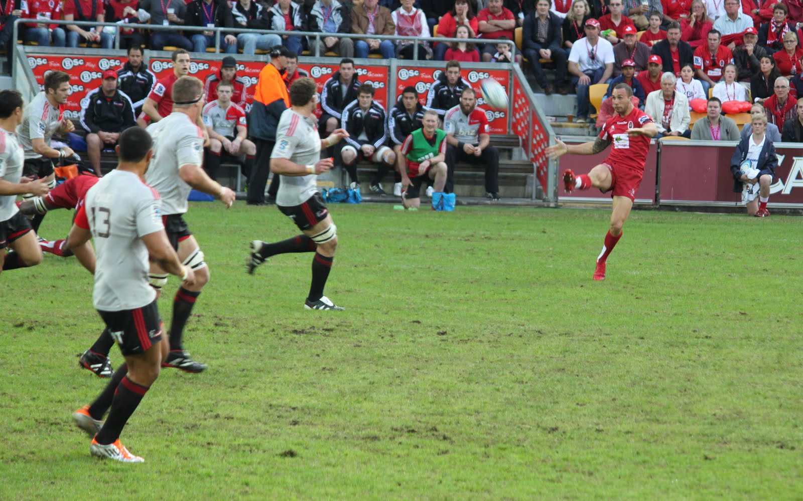 Baby Rugger: Rudist Nudists and Kiwis.