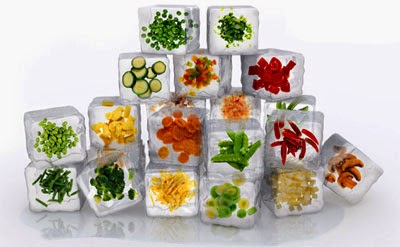 Conservas Caseras: Congelación de Alimentos