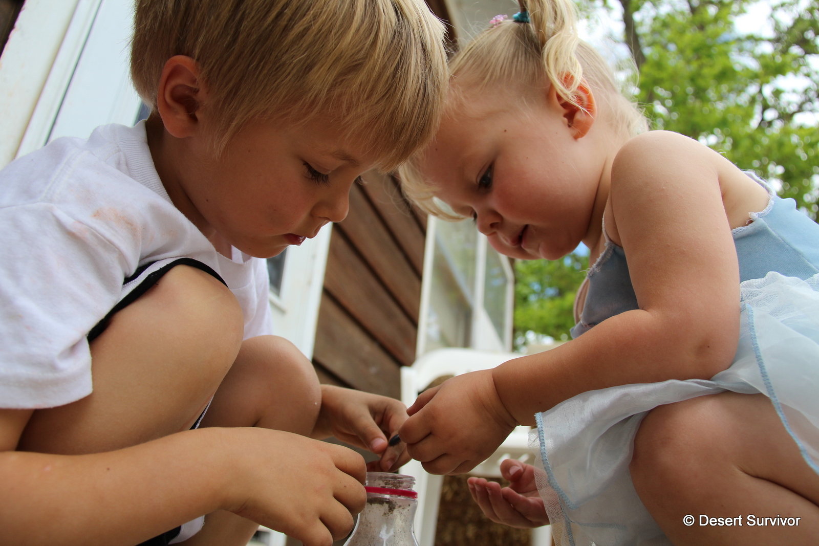 Desert Survivor: Scenes from the Ranch