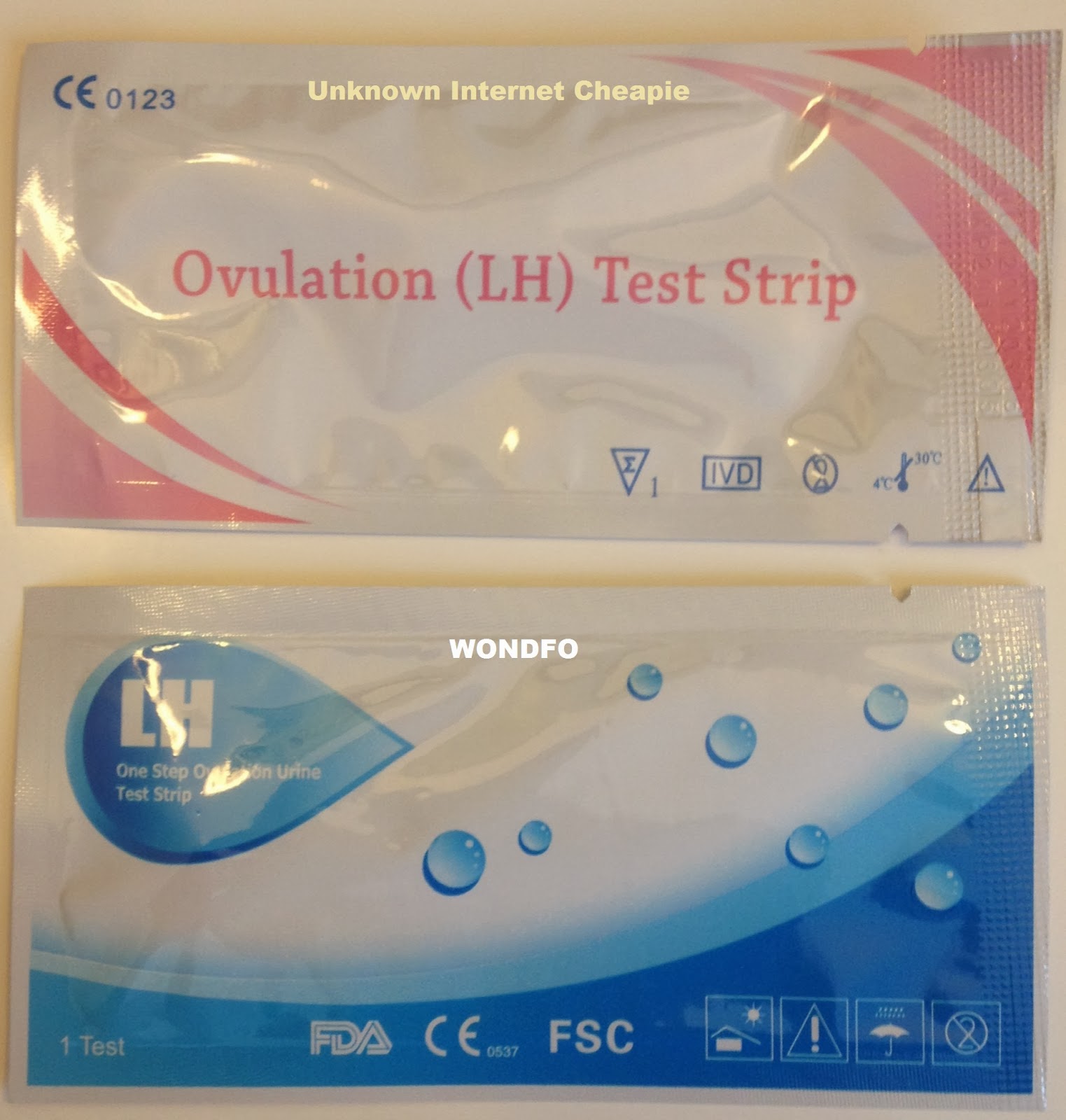 Kristen's Blog: OPK Adventures 2