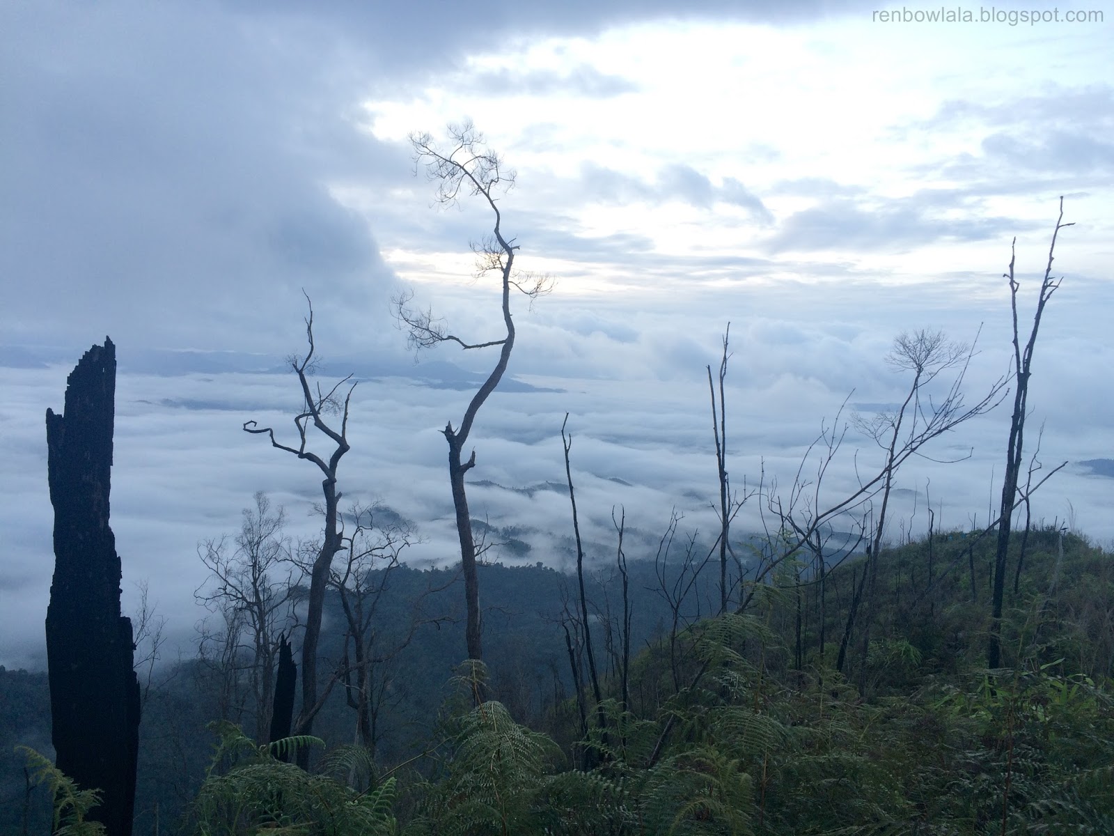 Rainbow Veins: Gunung Kenderong x Gunung Kerunai 2016