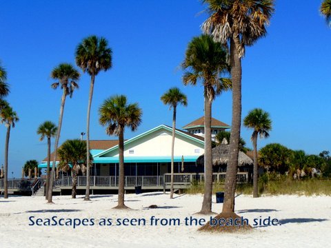 Rocky Top Ramblers: Macdill AFB Famcamp Recreation Area