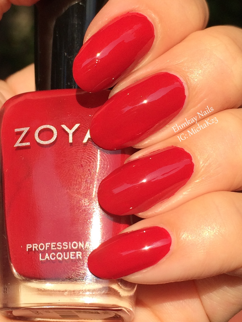 ehmkay nails: Zoya Fall 2015 Focus Collection: Swatches and Review