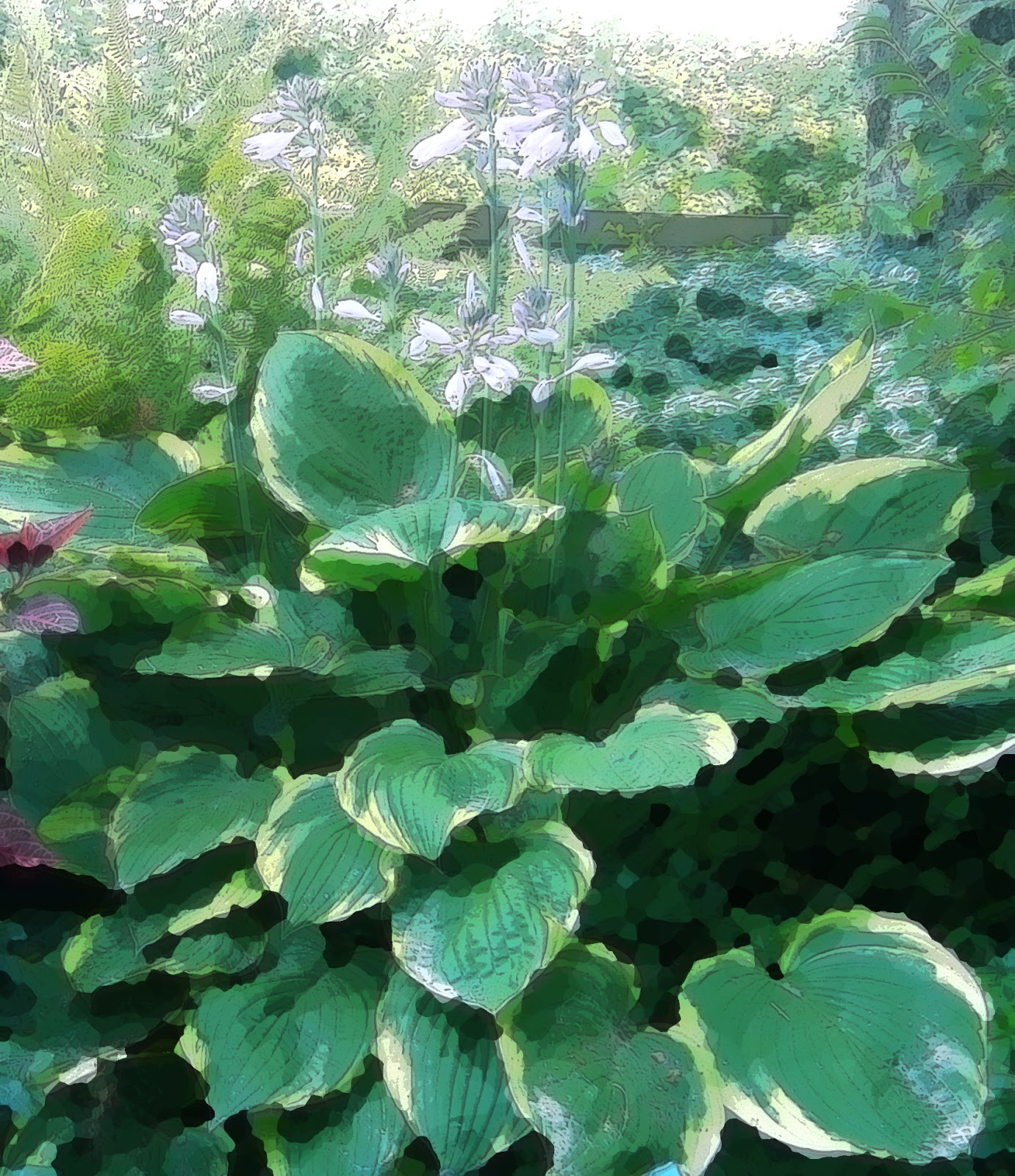 Photographing Flowers: Impressionist Flower Effects in Photoshop