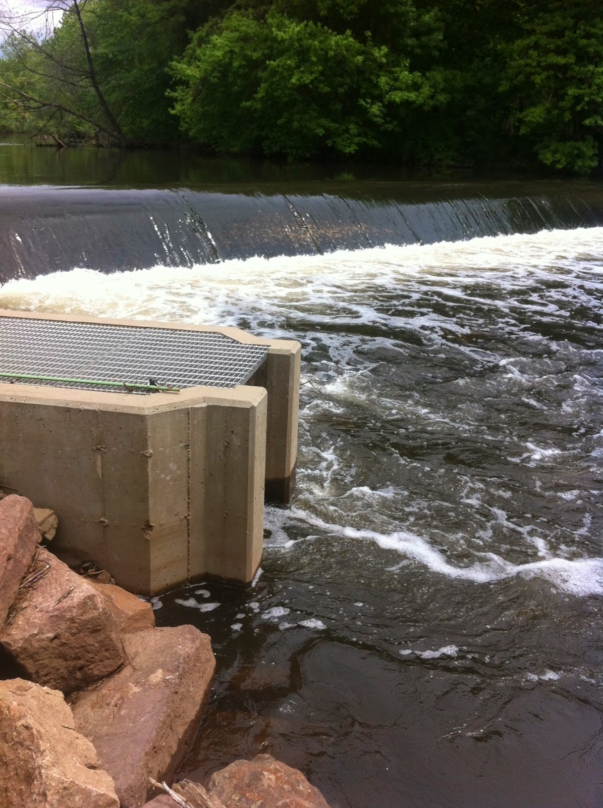Joey_OnlyFins: Wallace Dam Fish Ladder "World Fish Migration Day"