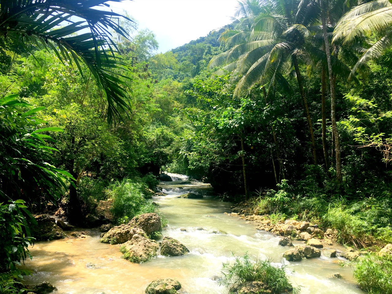 Durano Eco Farm - Cold Spring Waters & The Tree Houses