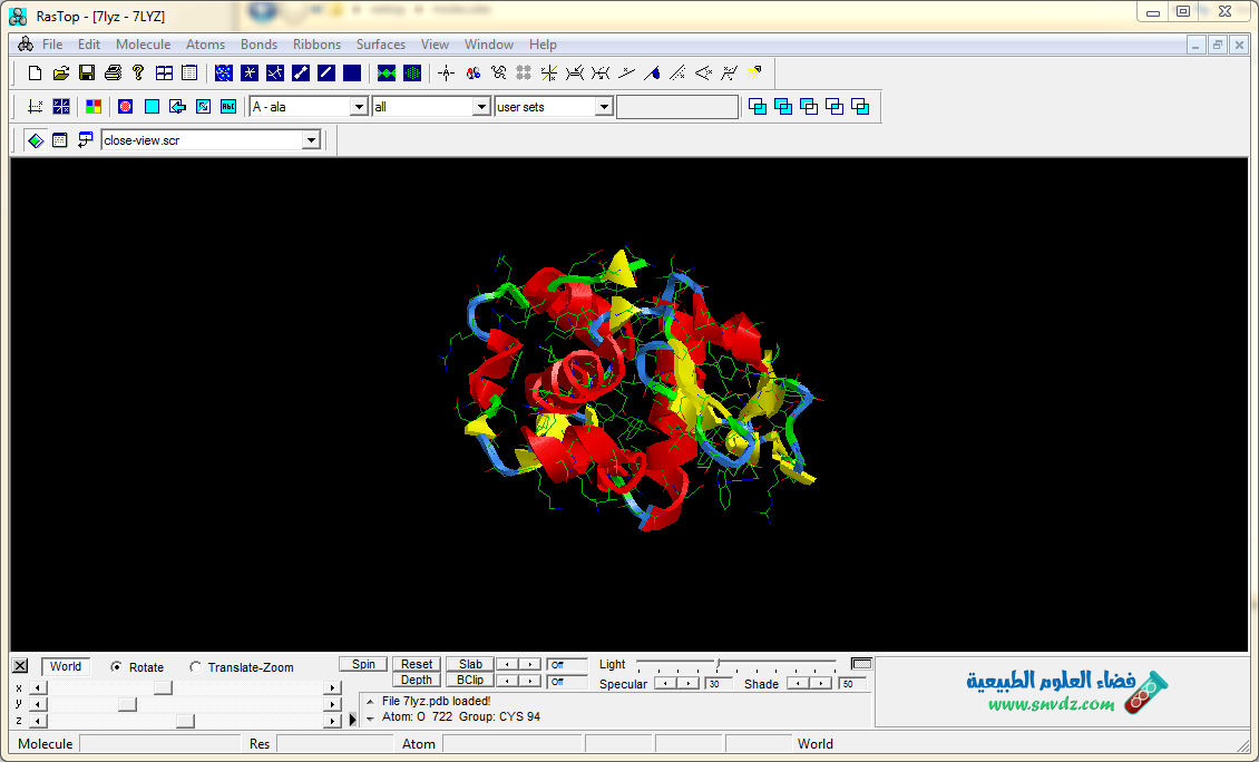 برنامج Rastop لدراسة البنية الفراغية للبروتينات - فضاء العلوم الطبيعية