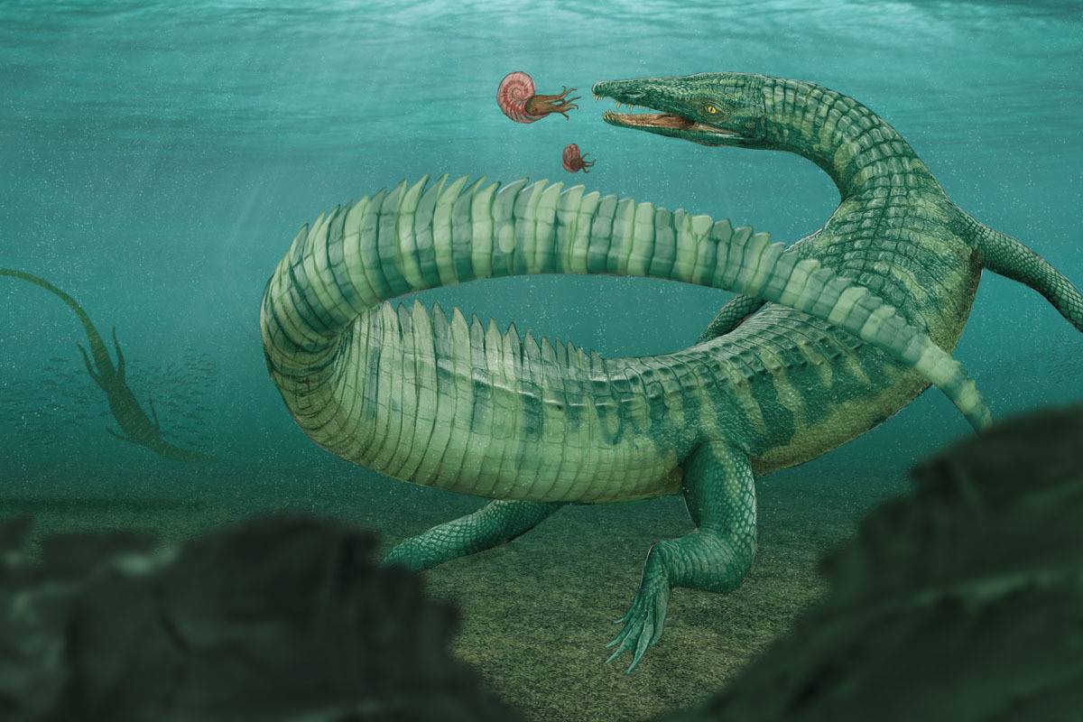 Prehistoric Beasts: 十二月 2016