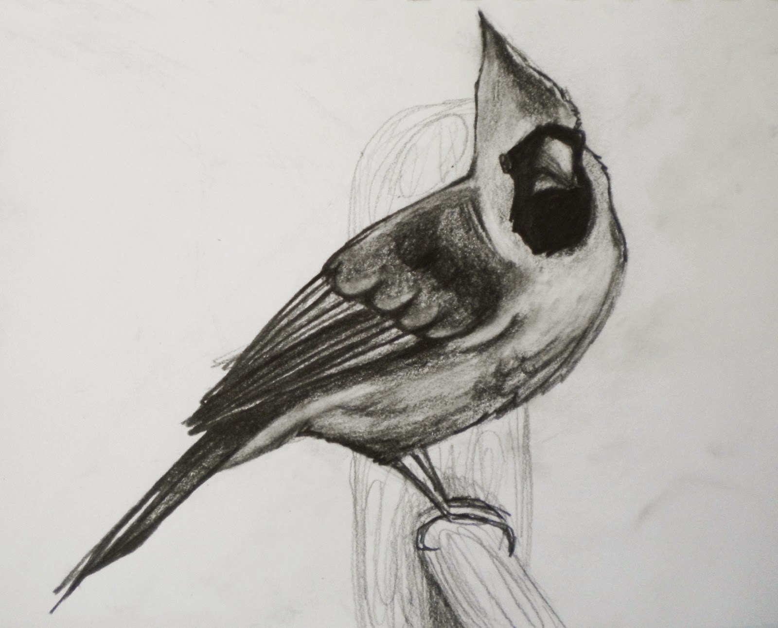 Pointsies: Cardinal Doodle